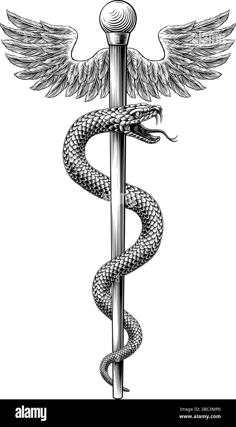 Rod of Asclepius Caduceus Medical Doctor Symbol Stock Vector Image ...