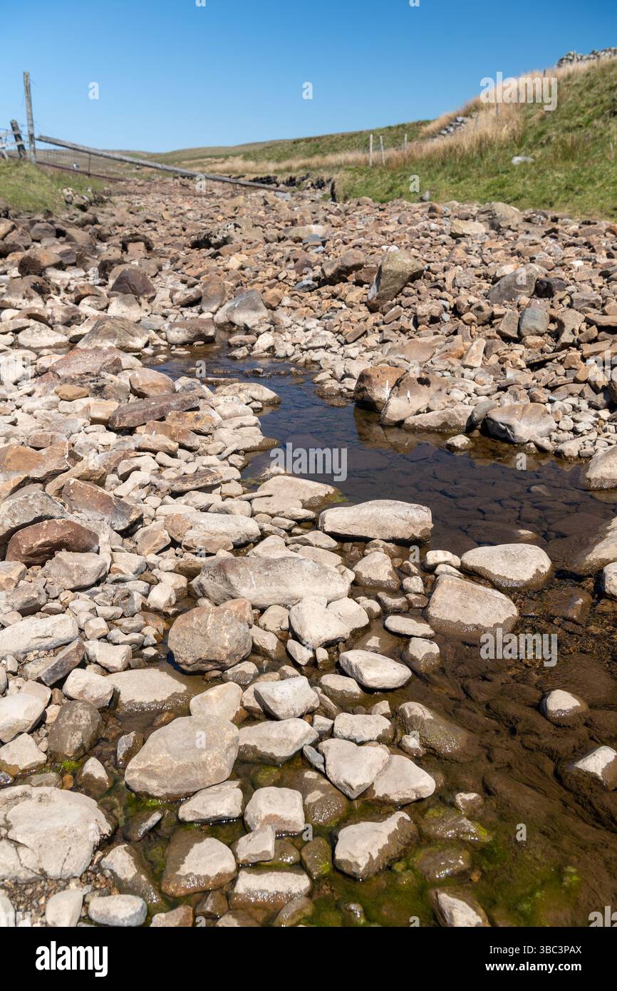 River Ribble, near its source in Ribblesdale, reduced to a trickle in ...
