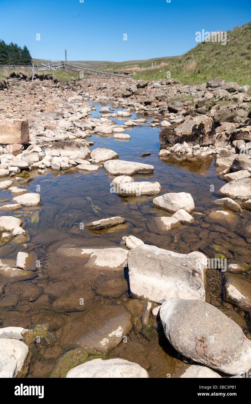 River Ribble, near its source in Ribblesdale, reduced to a trickle in ...