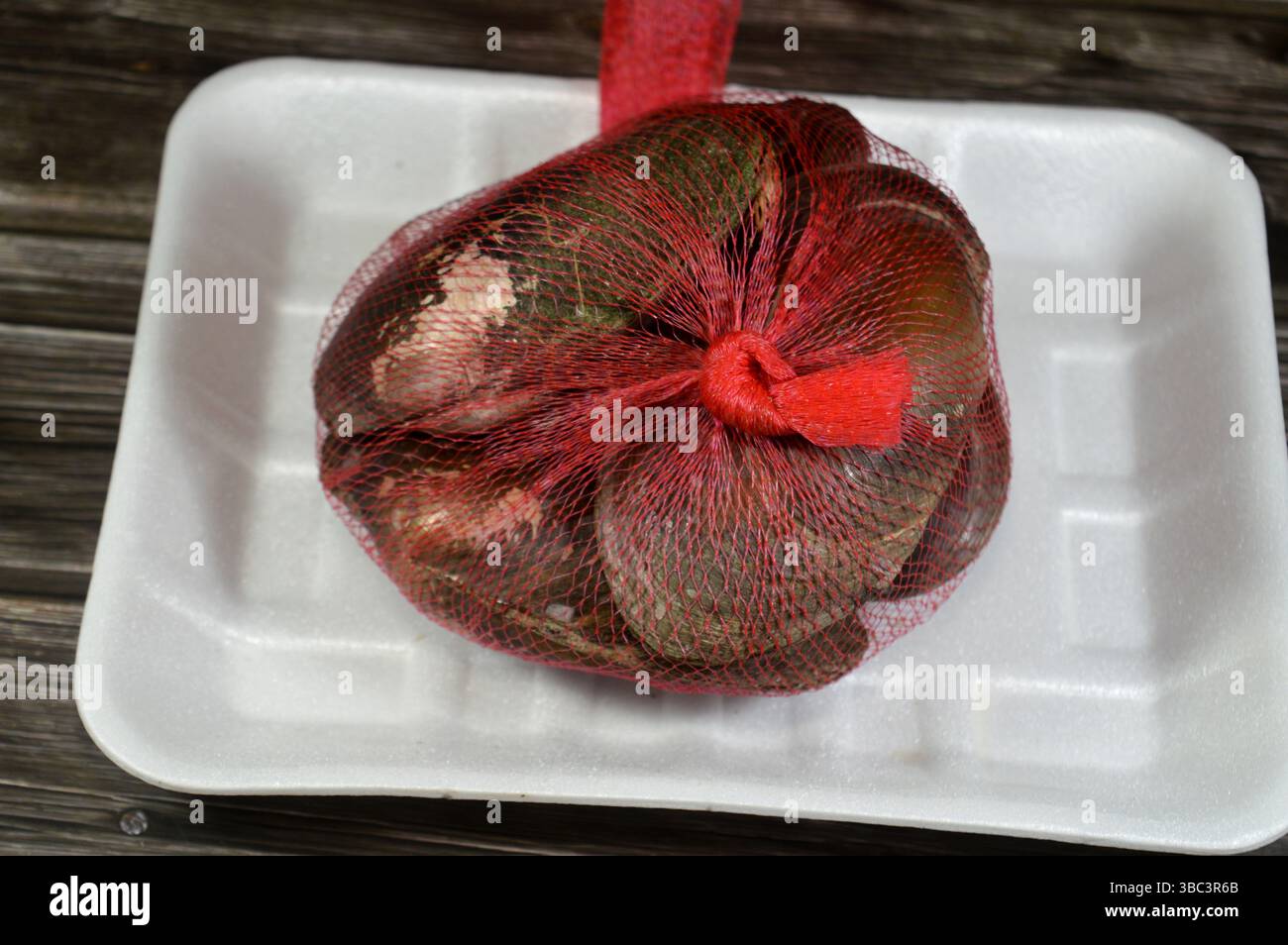 Raw Mussel, bivalve molluscs, from saltwater and freshwater habitats ...