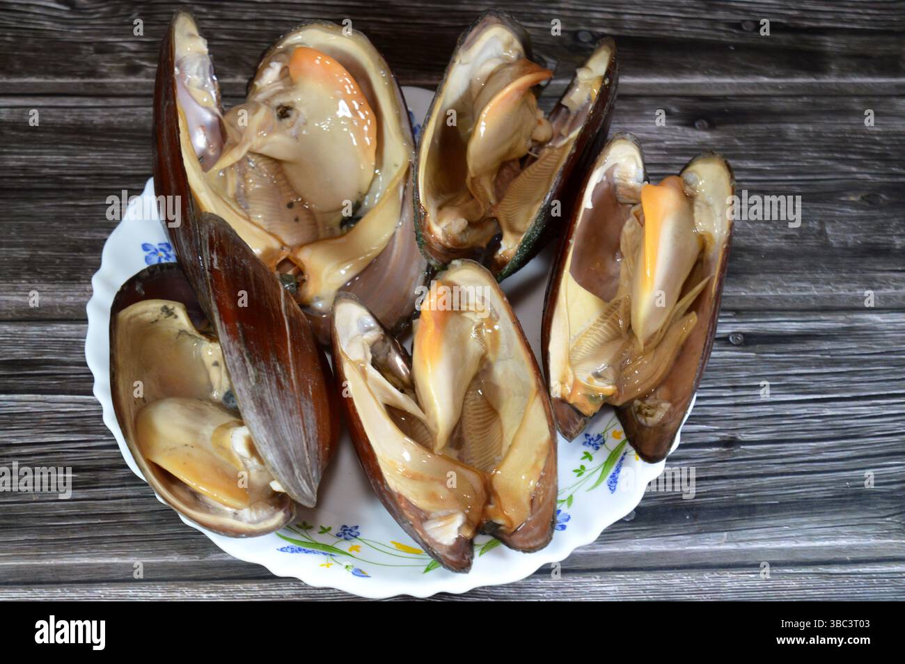 Fresh raw Mussels, bivalve molluscs, from saltwater and freshwater ...