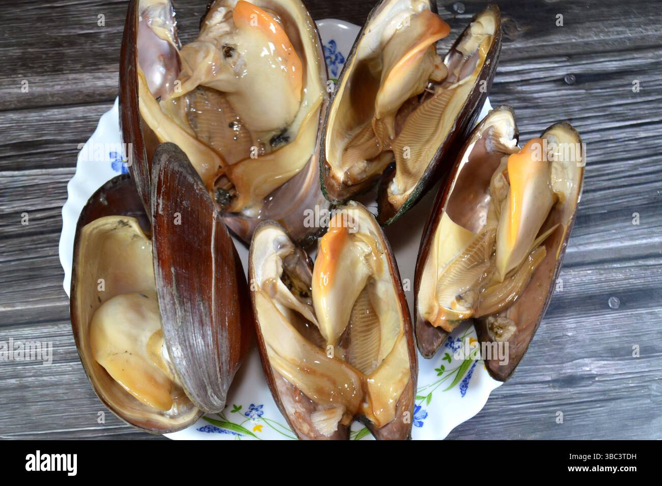 Fresh raw Mussels, bivalve molluscs, from saltwater and freshwater ...