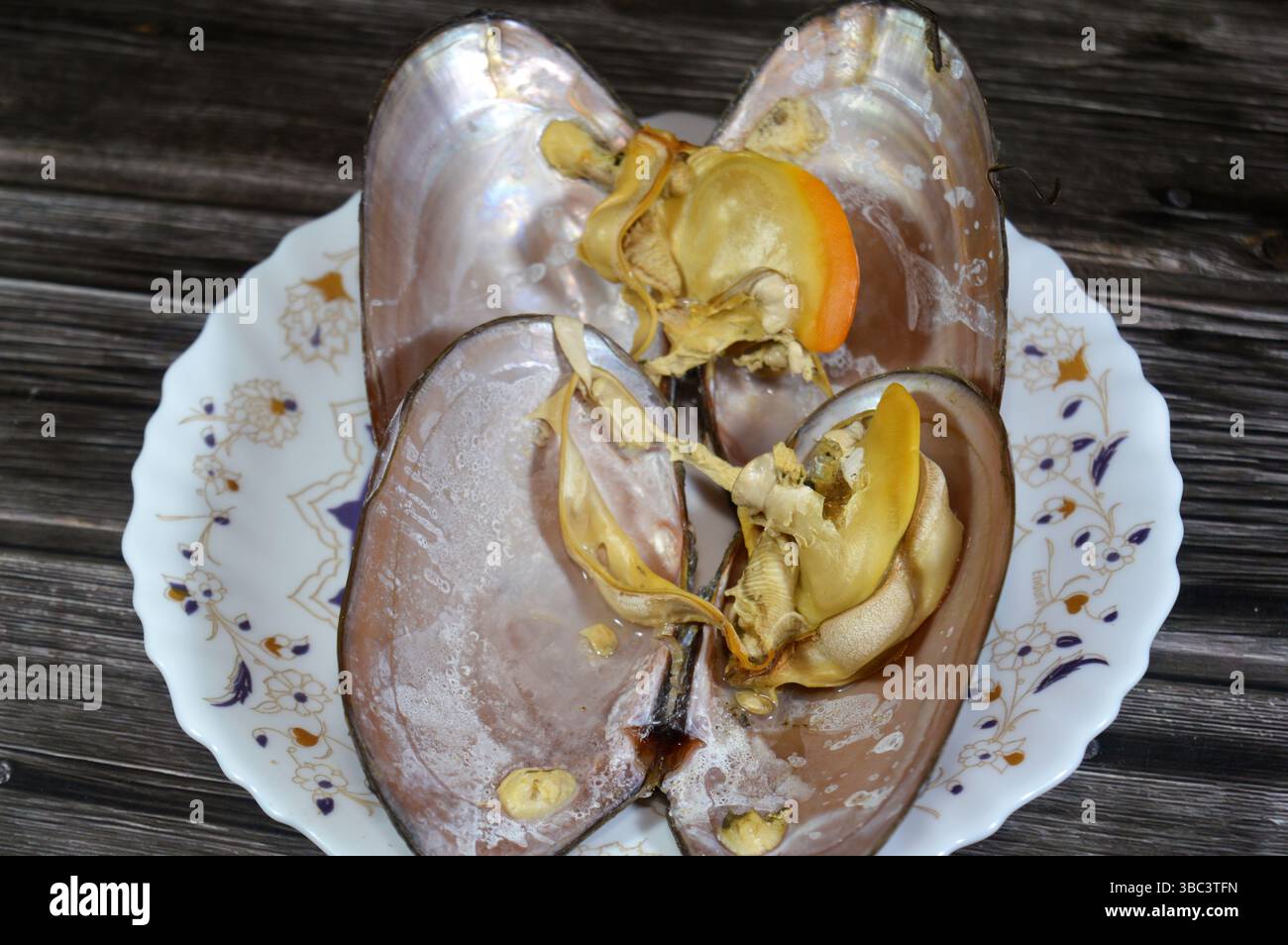 Boiled cooked Mussels, bivalve molluscs, from saltwater and freshwater ...