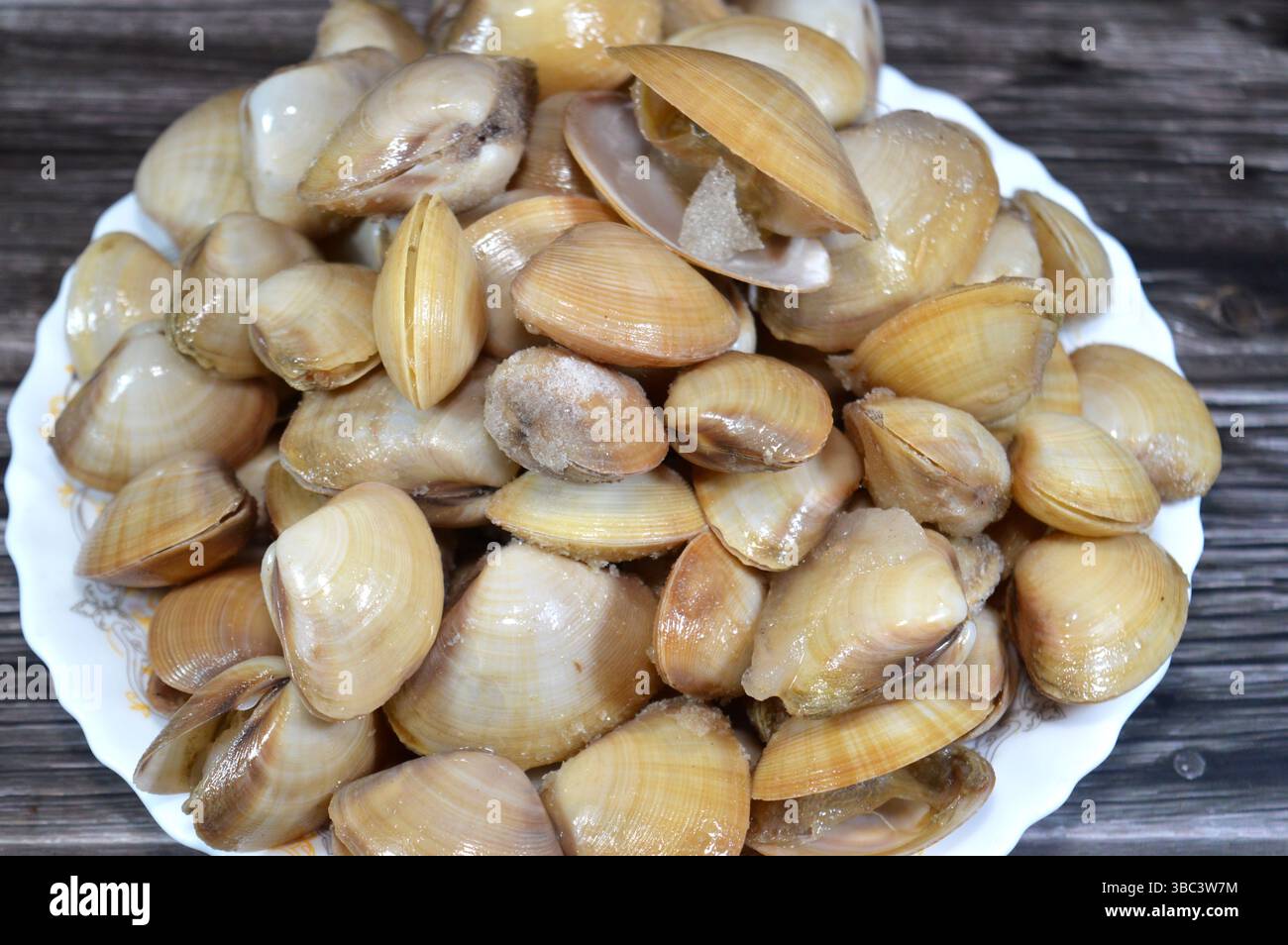 Fresh raw clam, clams are bivalve mollusc, Clams have two shells of ...