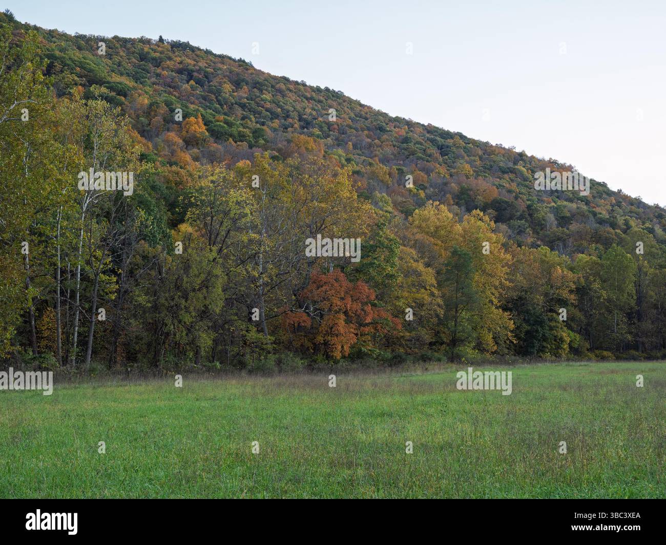 A hillside bursts with the rich colors of autumn foliage above a lush ...