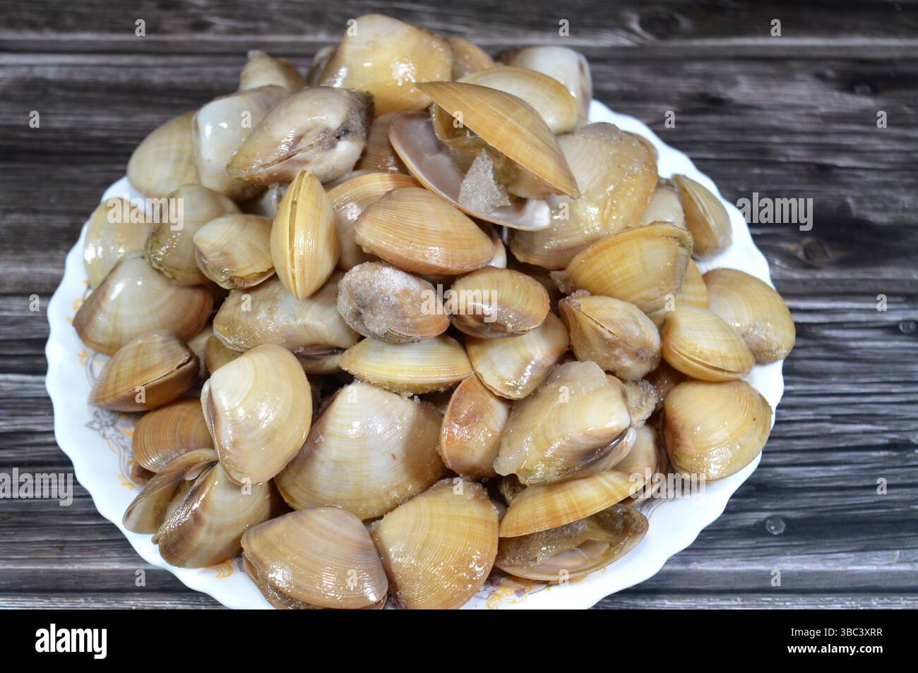 Fresh raw clam, clams are bivalve mollusc, Clams have two shells of ...
