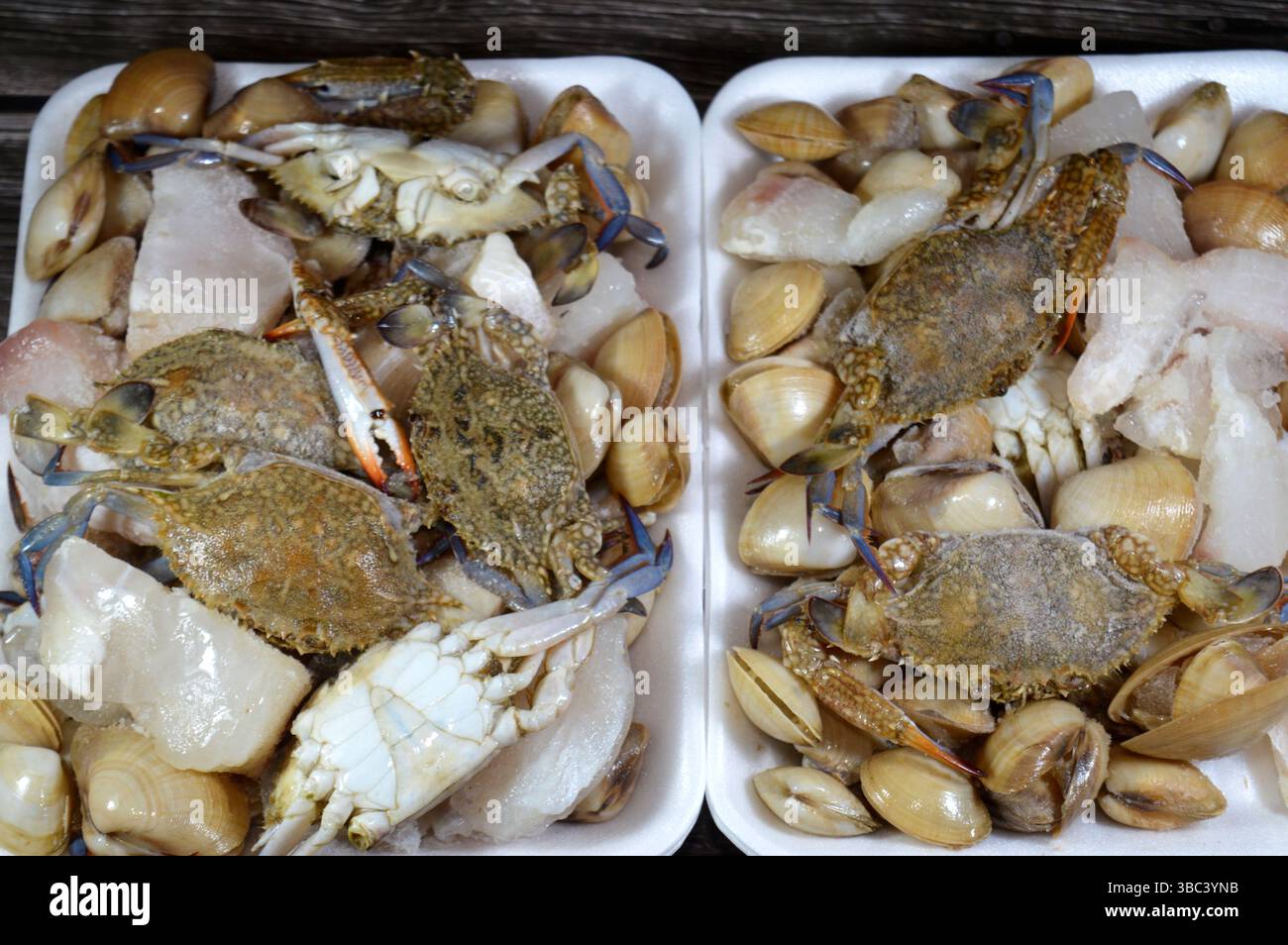 various contents of seafood that is used in sea food soup, fresh crabs ...