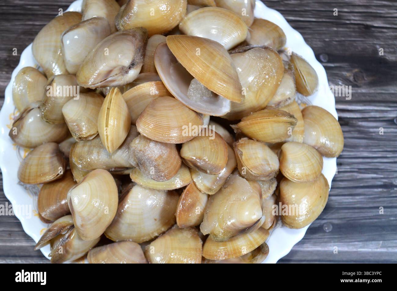 Fresh raw clam, clams are bivalve mollusc, Clams have two shells of ...