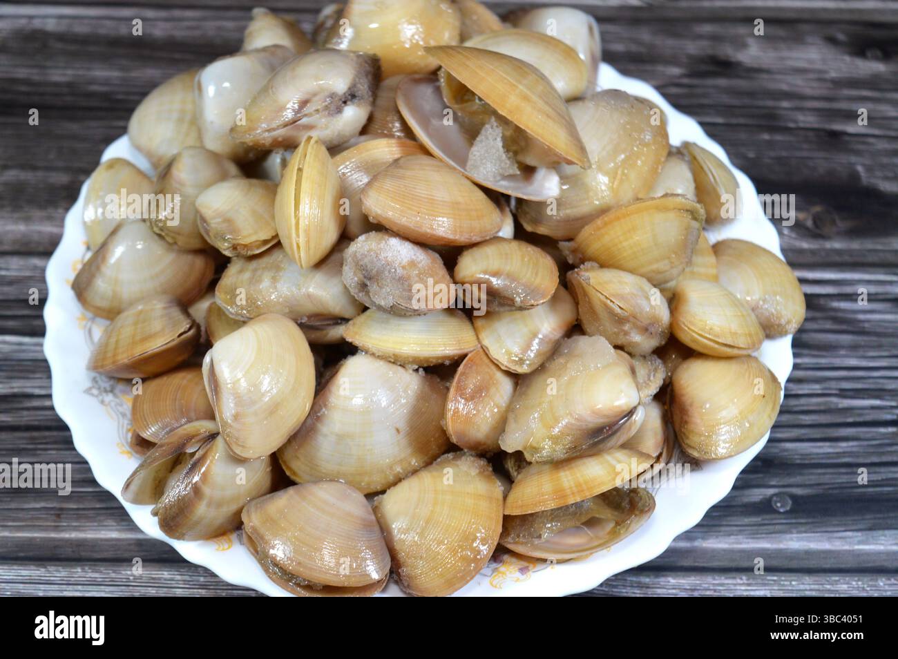 Fresh raw clam, clams are bivalve mollusc, Clams have two shells of ...