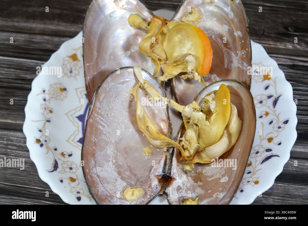 Boiled cooked Mussels, bivalve molluscs, from saltwater and freshwater ...