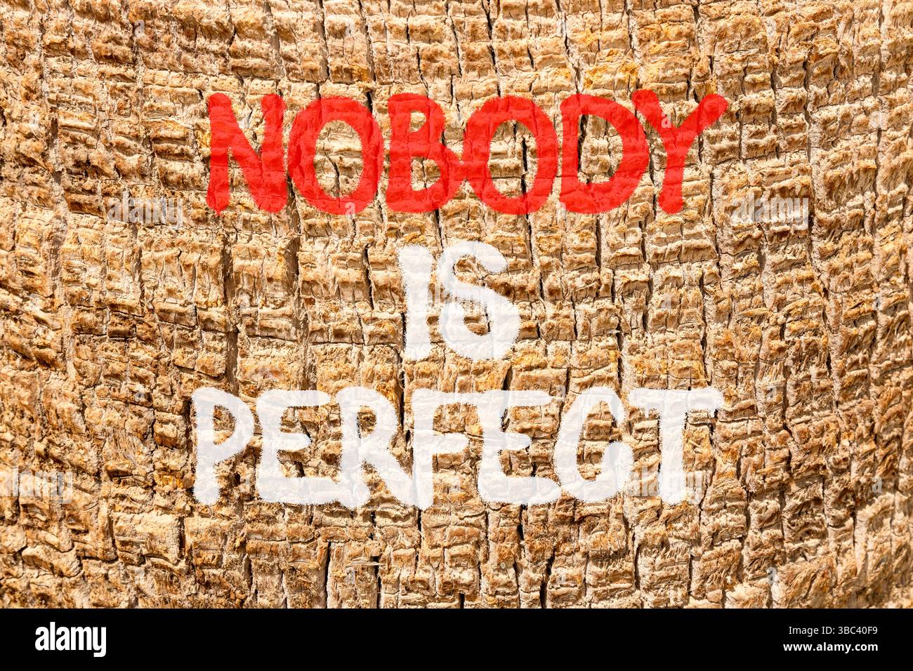 Nobody is perfect symbol. Concept words Nobody is perfect on beautiful ...