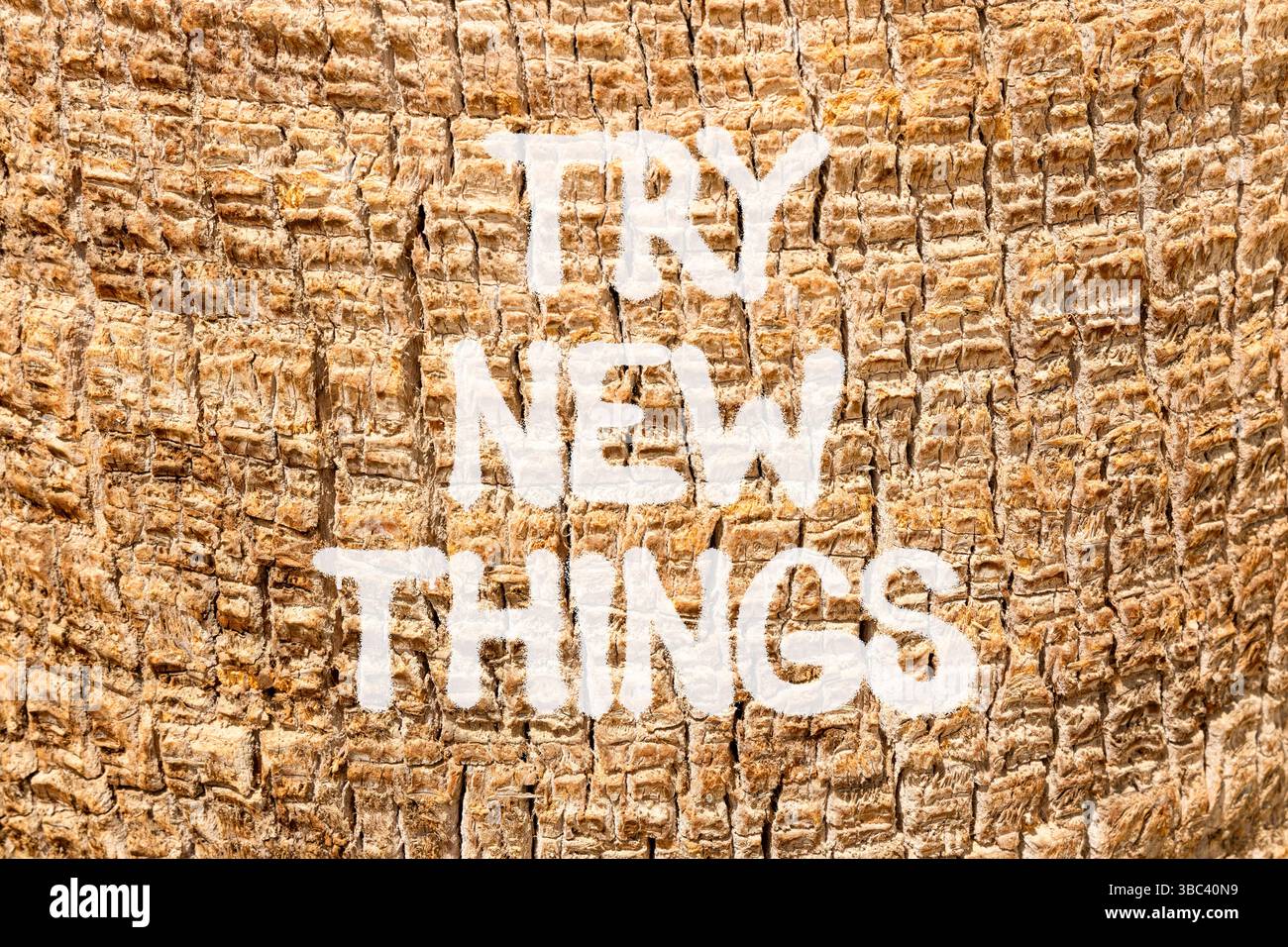 Try new things symbol. Concept words Try new things on beautiful palm ...