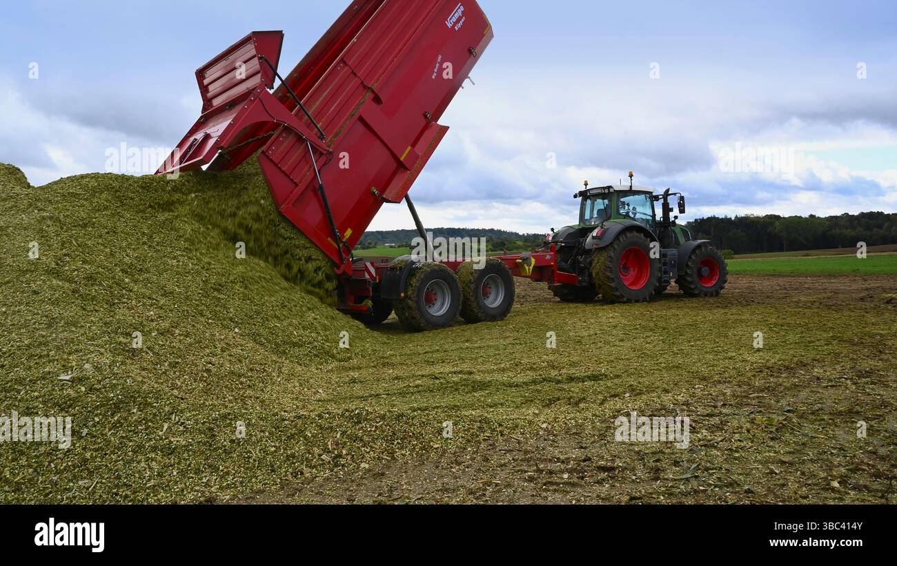 Forage harvester harvested for ecologically sustainable ...
