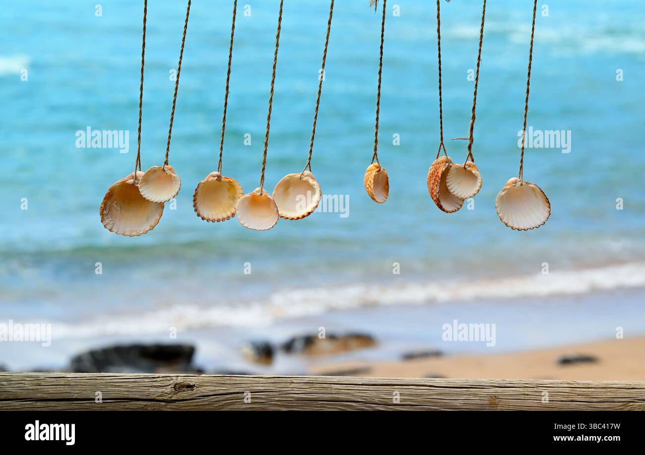 A wind chime made of shells at the vacation beach bar, relax and unwind ...