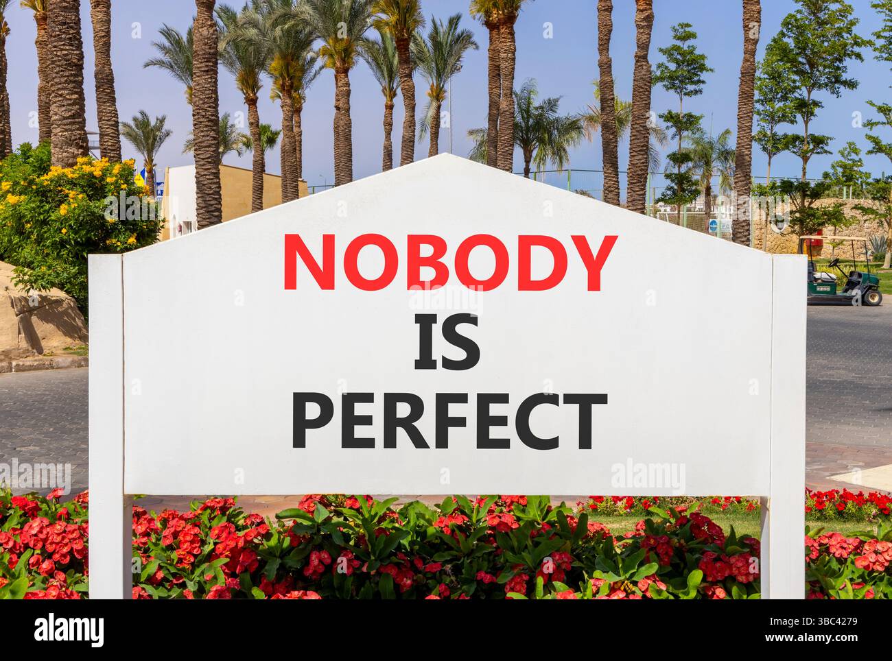 Nobody is perfect symbol. Concept words Nobody is perfect on beautiful ...