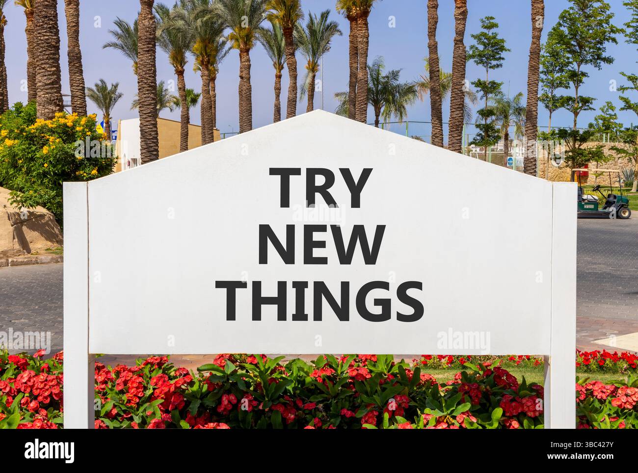 Try new things symbol. Concept words Try new things on beautiful big ...