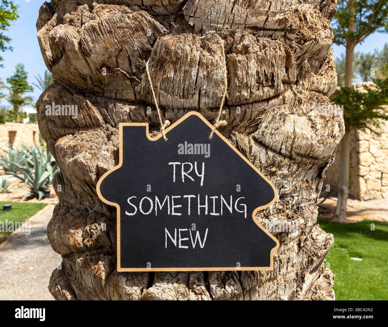 Try something new symbol. Concept words Try something new on beautiful ...