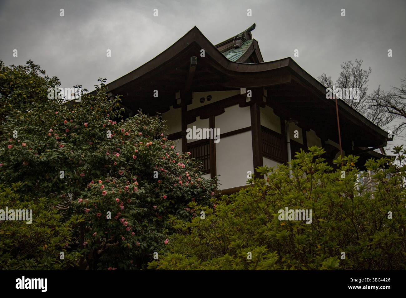 Traditional Japanese temple pavilion nestled in lush greenery, captured ...