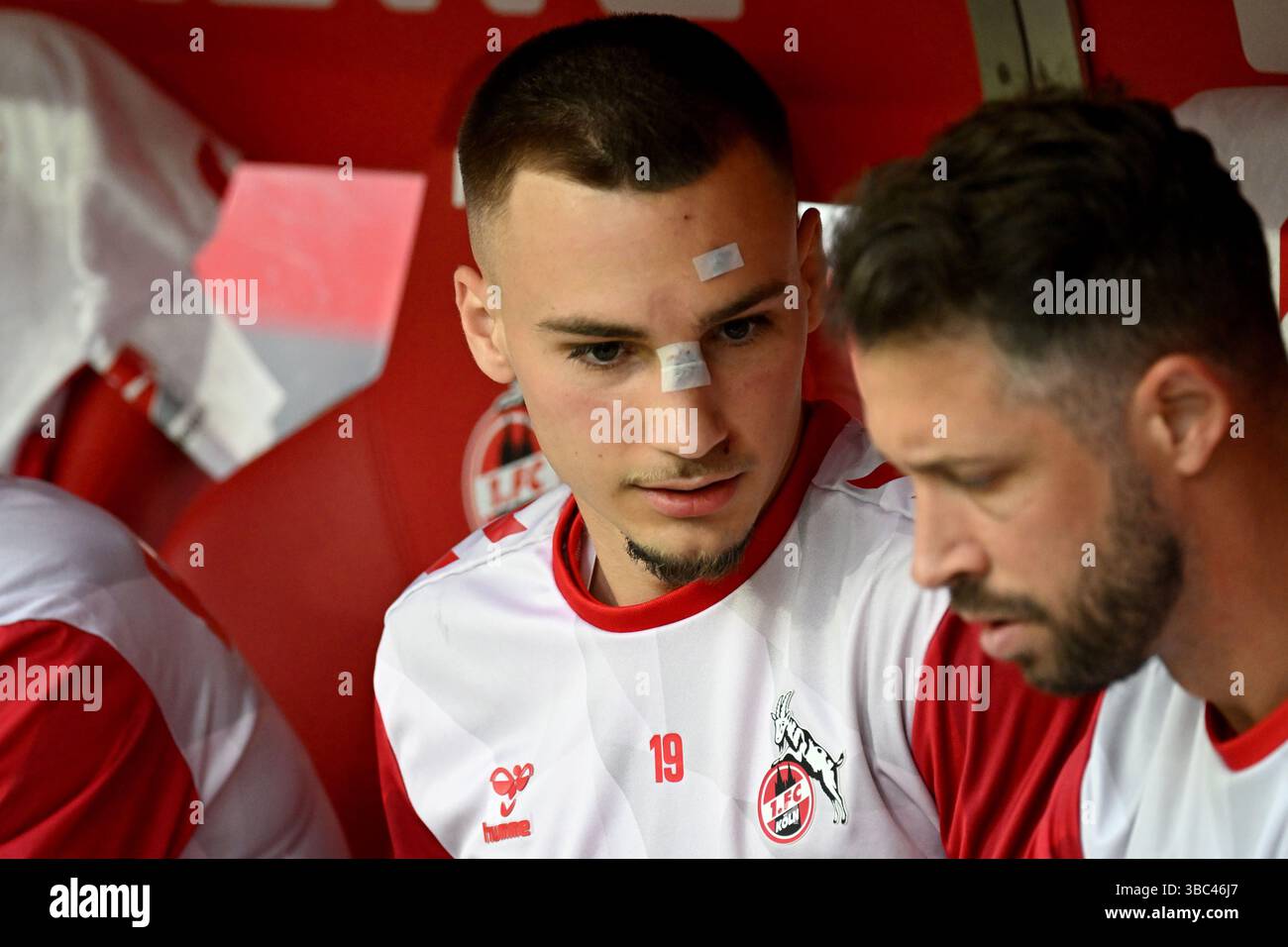 Cologne, Germany. 18th May, 2025. Soccer, Bundesliga 2, 1. FC Köln - 1 ...