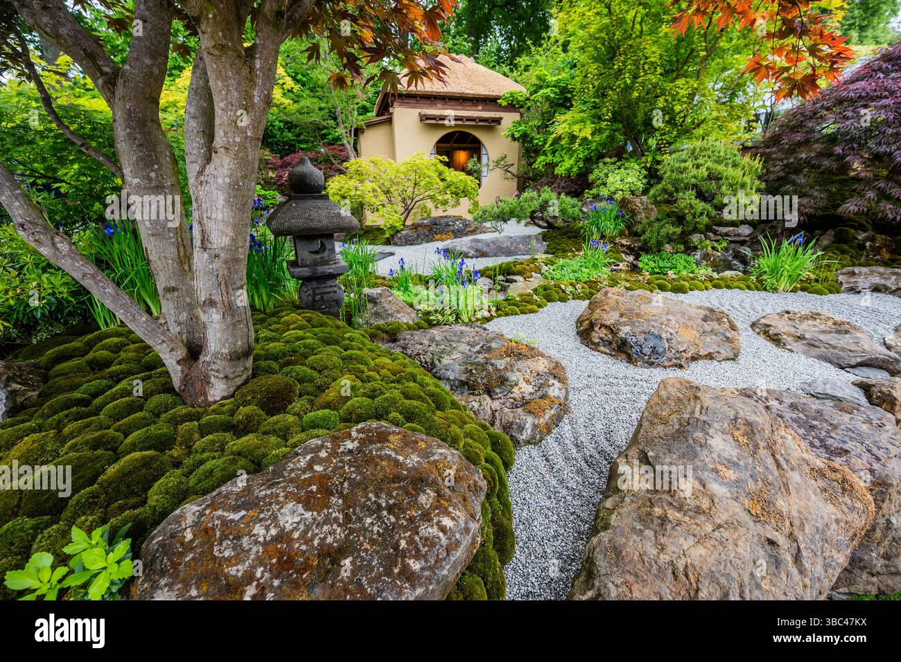 London, UK. 18th May, 2025. Cha No Niwa - Japanese Tea Garden by ...