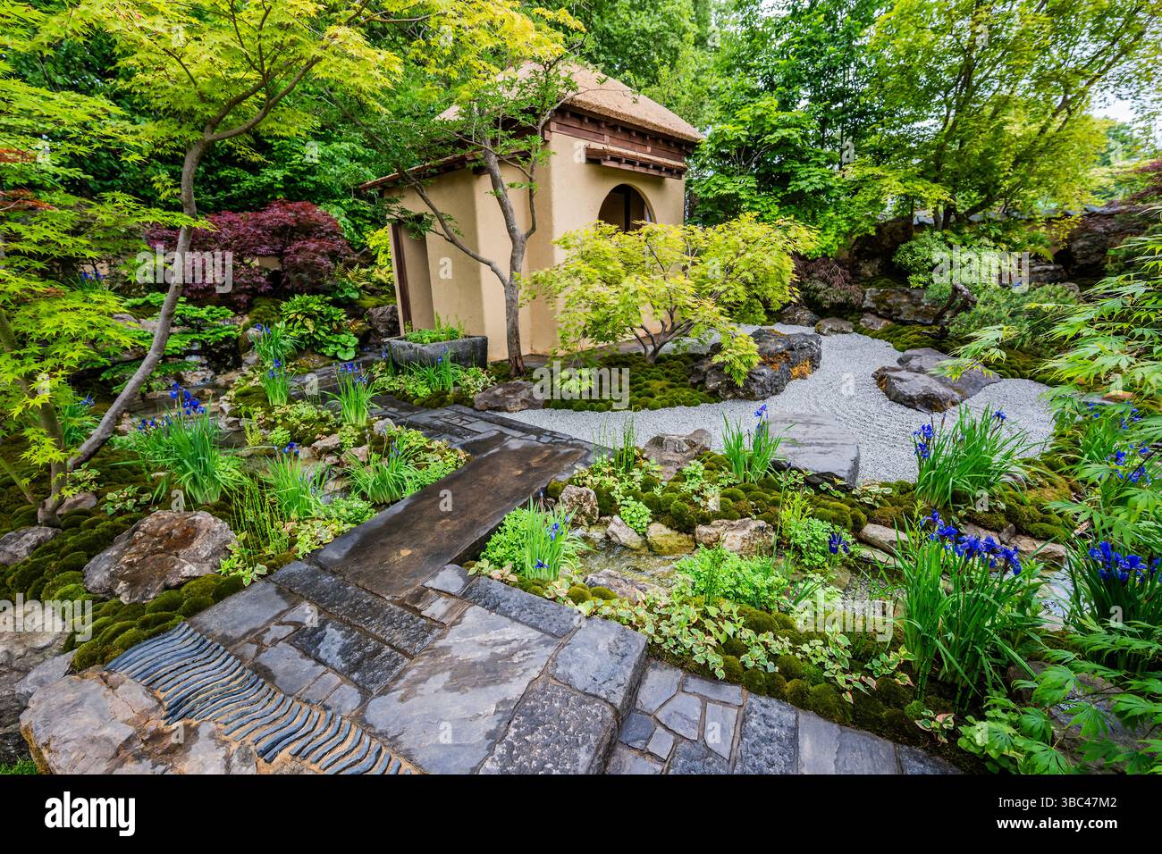 London, UK. 18th May, 2025. Cha No Niwa - Japanese Tea Garden by ...