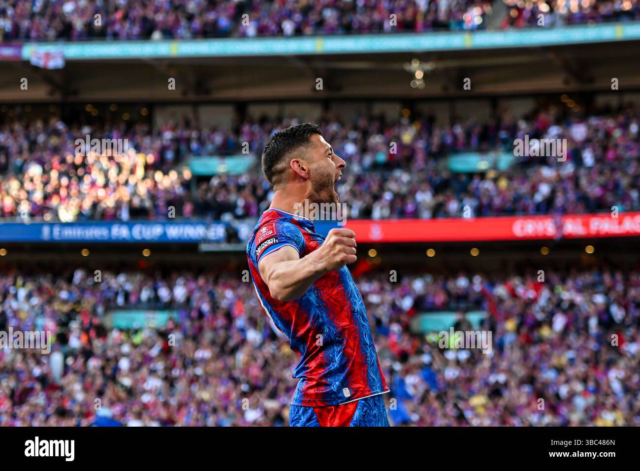 Joel Ward (2 Crystal Palace) celebrates after final whistle during the ...
