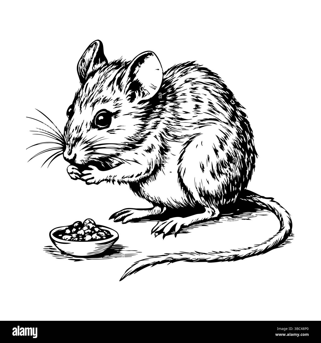 Ink sketch of mouse sniffing food on the ground Stock Vector Image ...