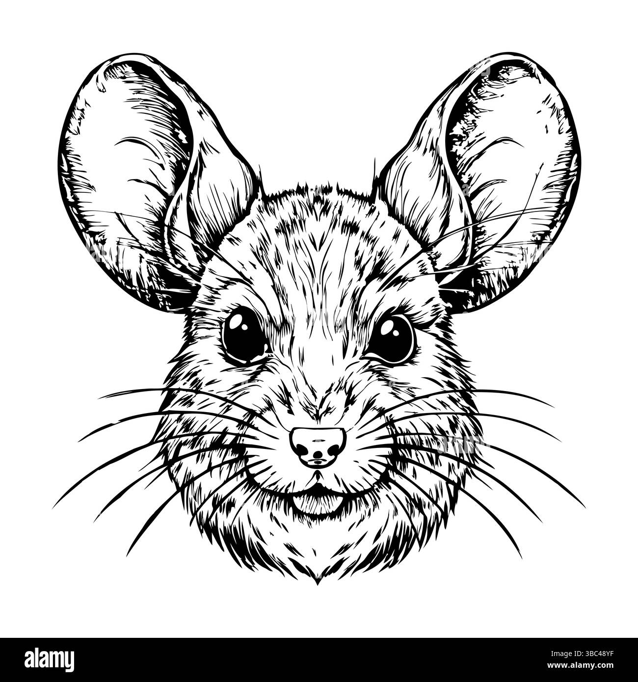 Front frontal face Stock Vector Images - Alamy