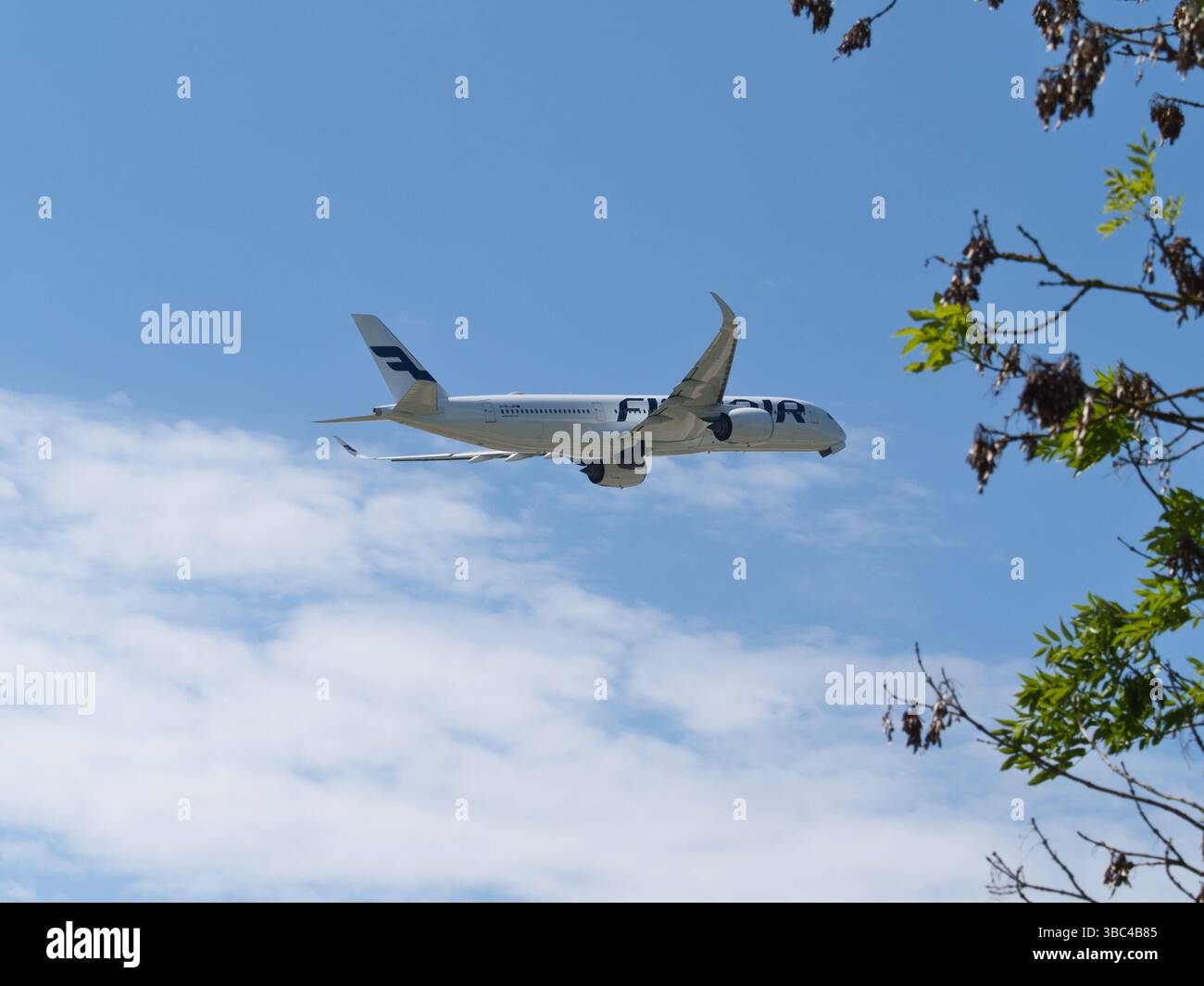 Finnair A350 flying past tree – aircraft in blue sky with natural frame ...