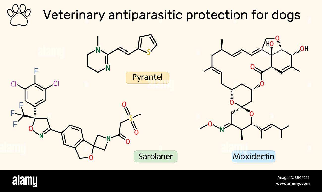 Veterinary antiparasitic drug molecules for dogs. Сhemical structures ...