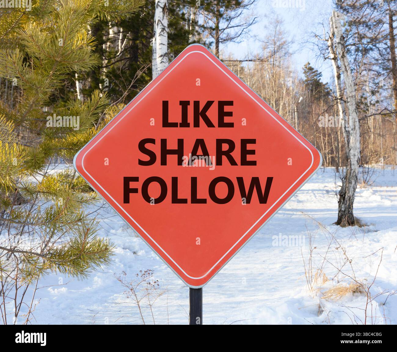 Like share follow symbol. Concept words Like Share Follow on beautiful ...