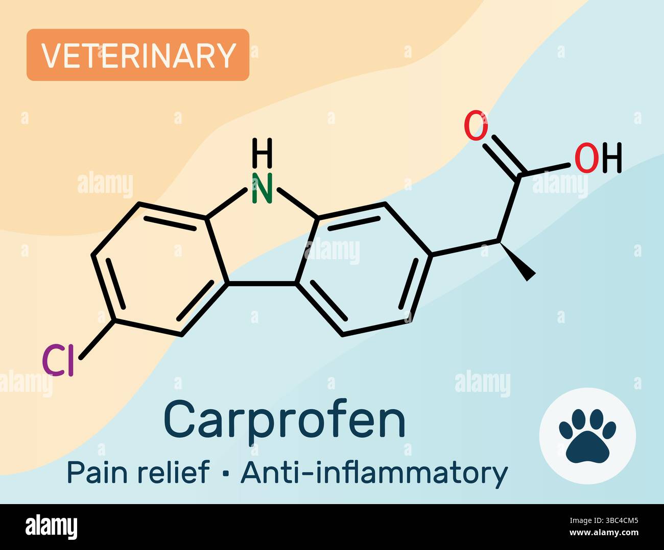 Carprofen NSAID molecule structure, nonsteroidal anti-inflammatory drug ...