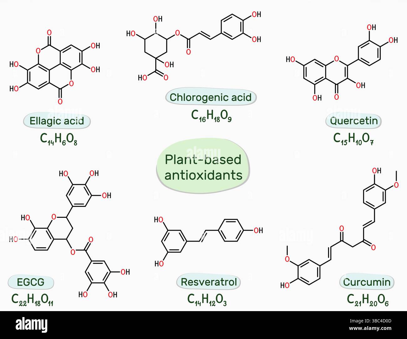 Plant-based natural antioxidants molecule of ellagic, chlorogenic acid ...