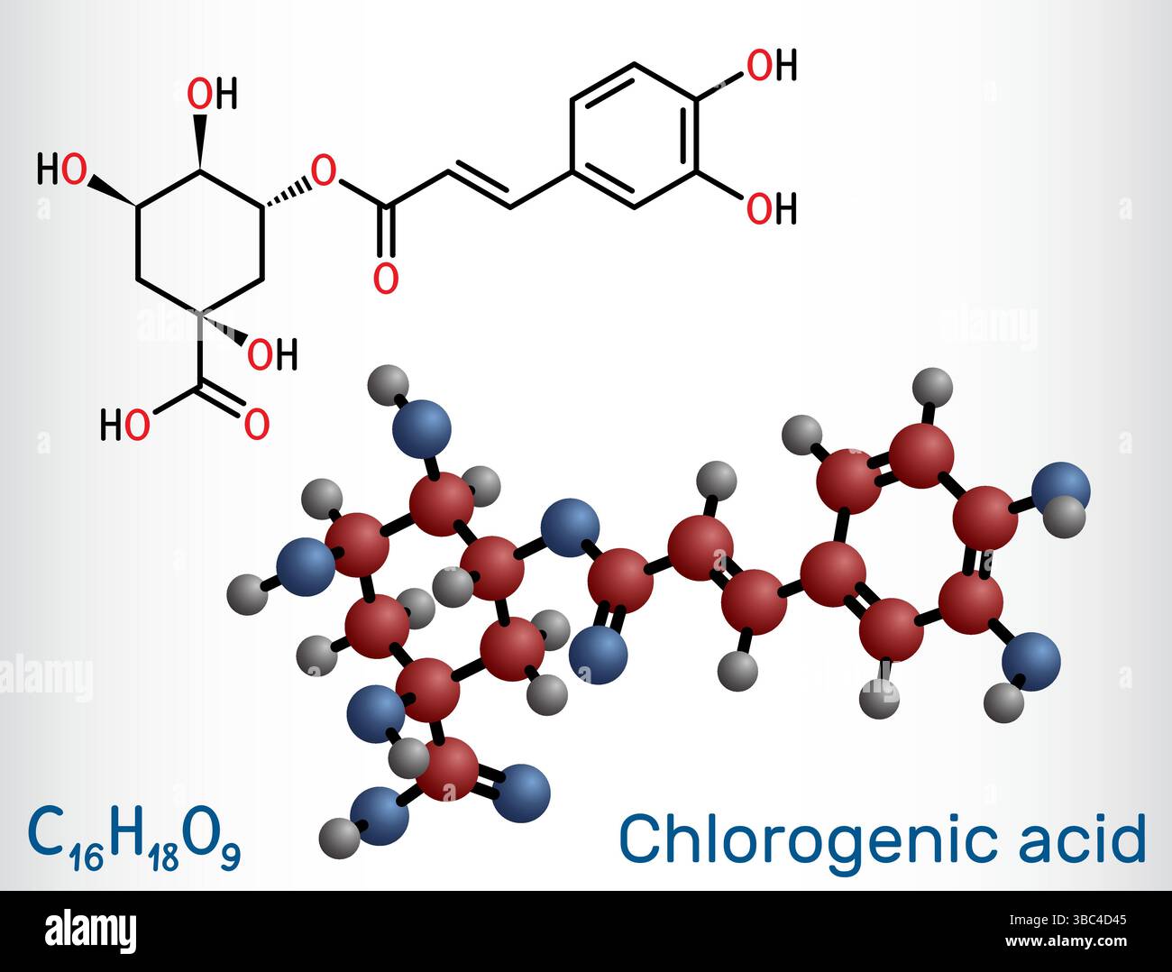 Chlorogenic acid molecule. Chemical structure of plant-based polyphenol ...