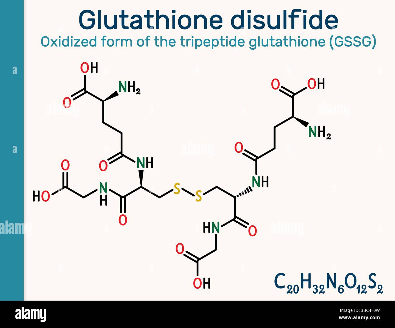 Glutathione disulfide, GSSG molecule. Oxidized form of glutathione ...
