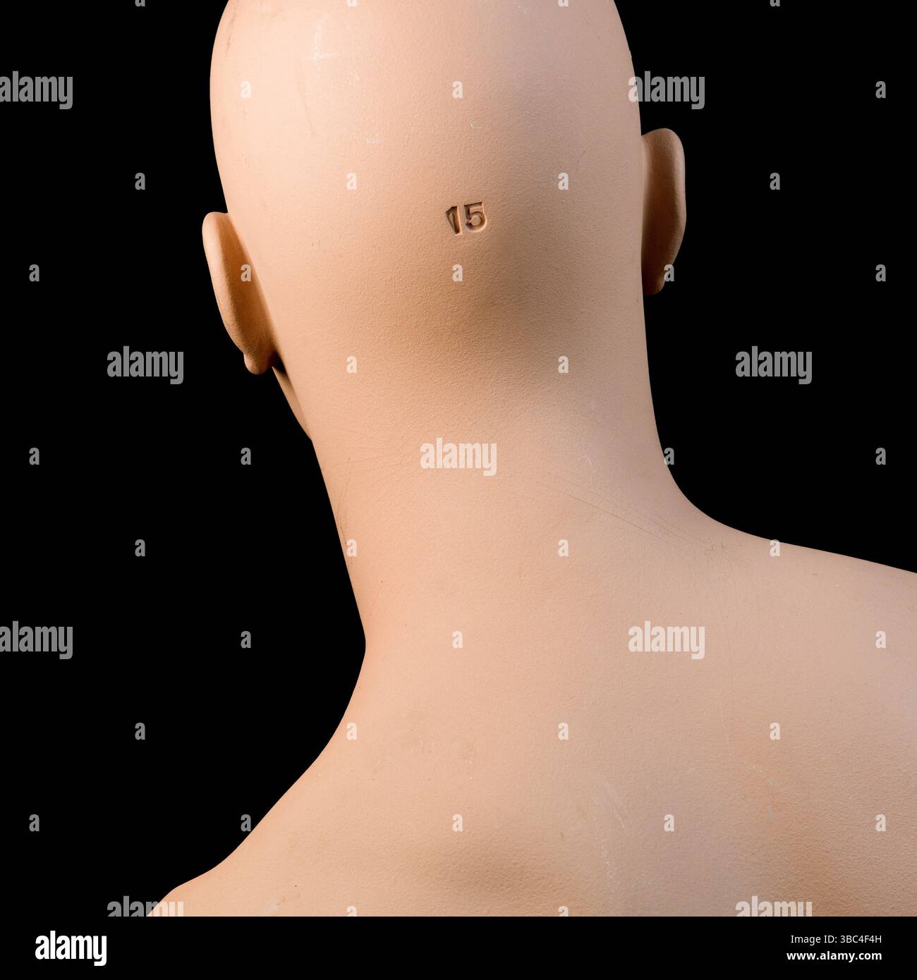 This exhibit features the head of a man dummy showcasing a clear ...