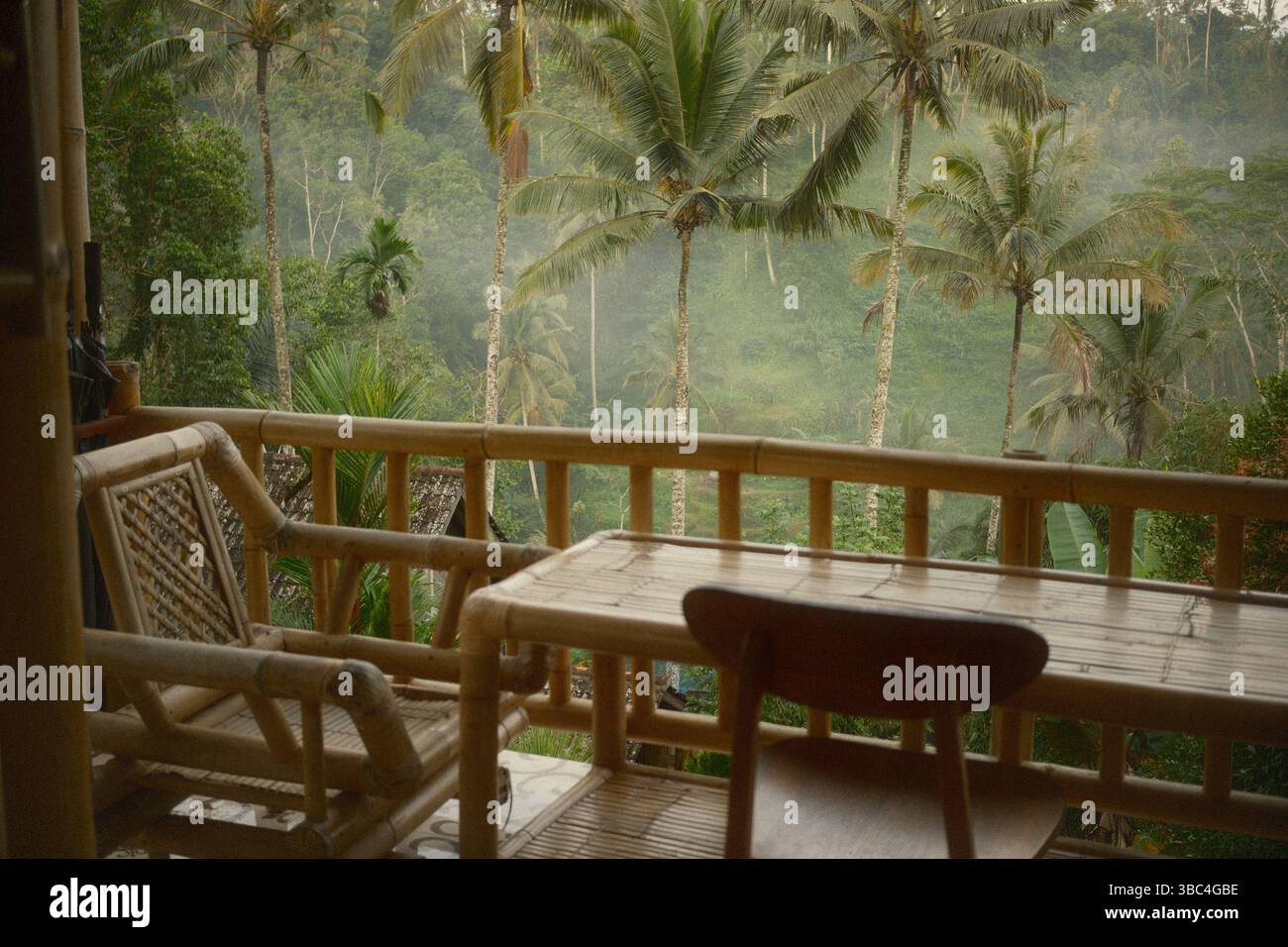 Table chairs bamboo forest hi-res stock photography and images - Alamy