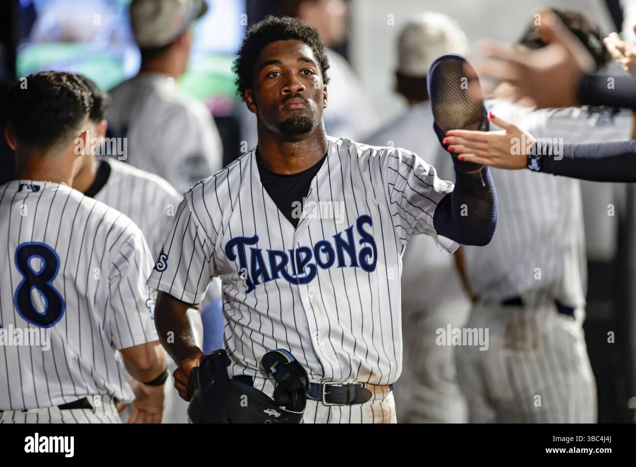 Tampa, FL USA: Tampa Tarpons right fielder Dillon Lewis (3) gets high ...