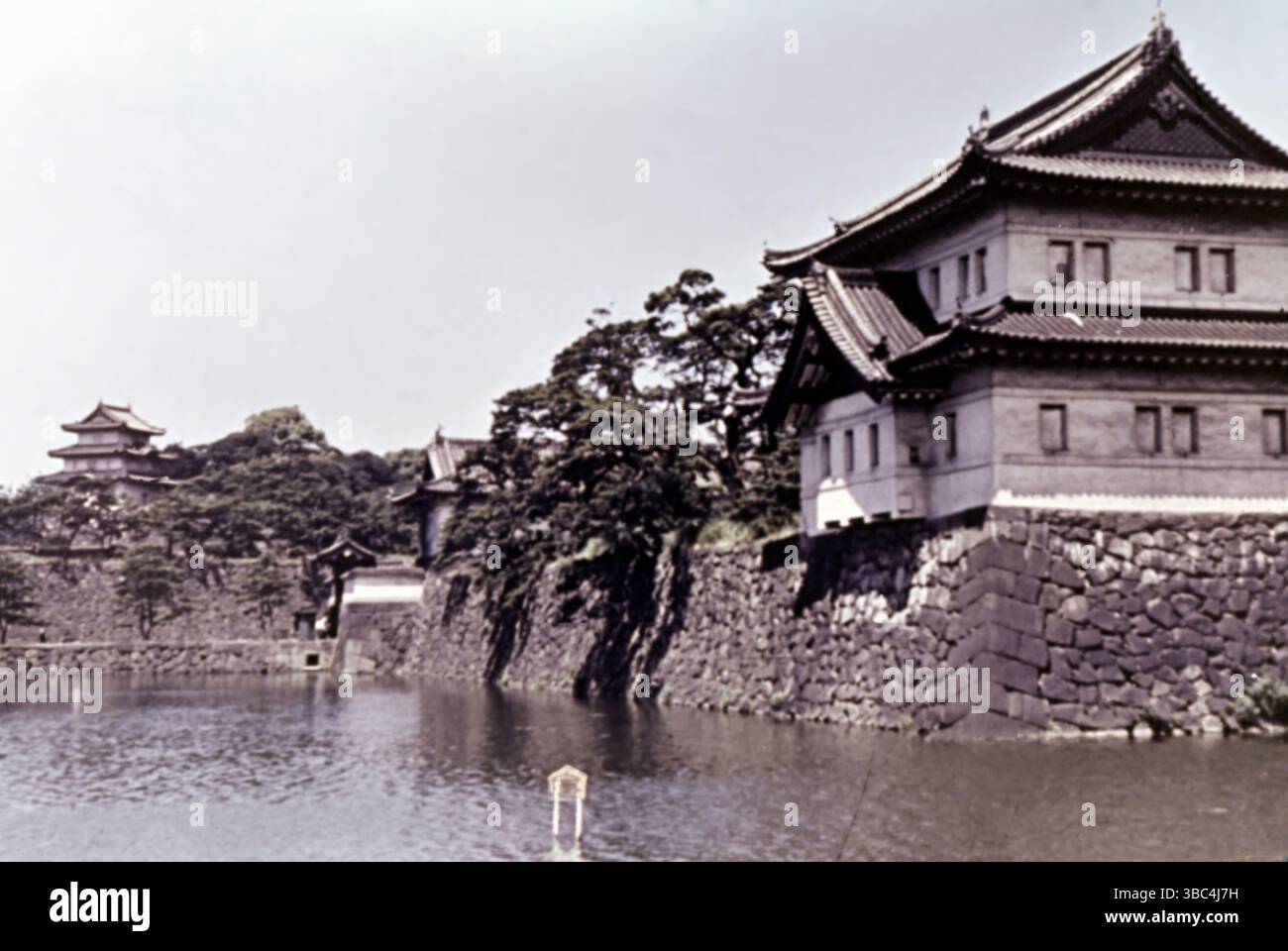 Vintage photo of Kokyo Gaien (The Imperial Palace Outer Gardens ...