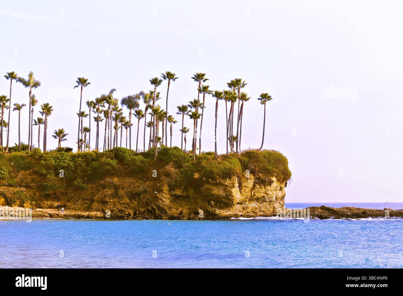 Crescent Bay cliff in Laguna Beach Stock Photo - Alamy