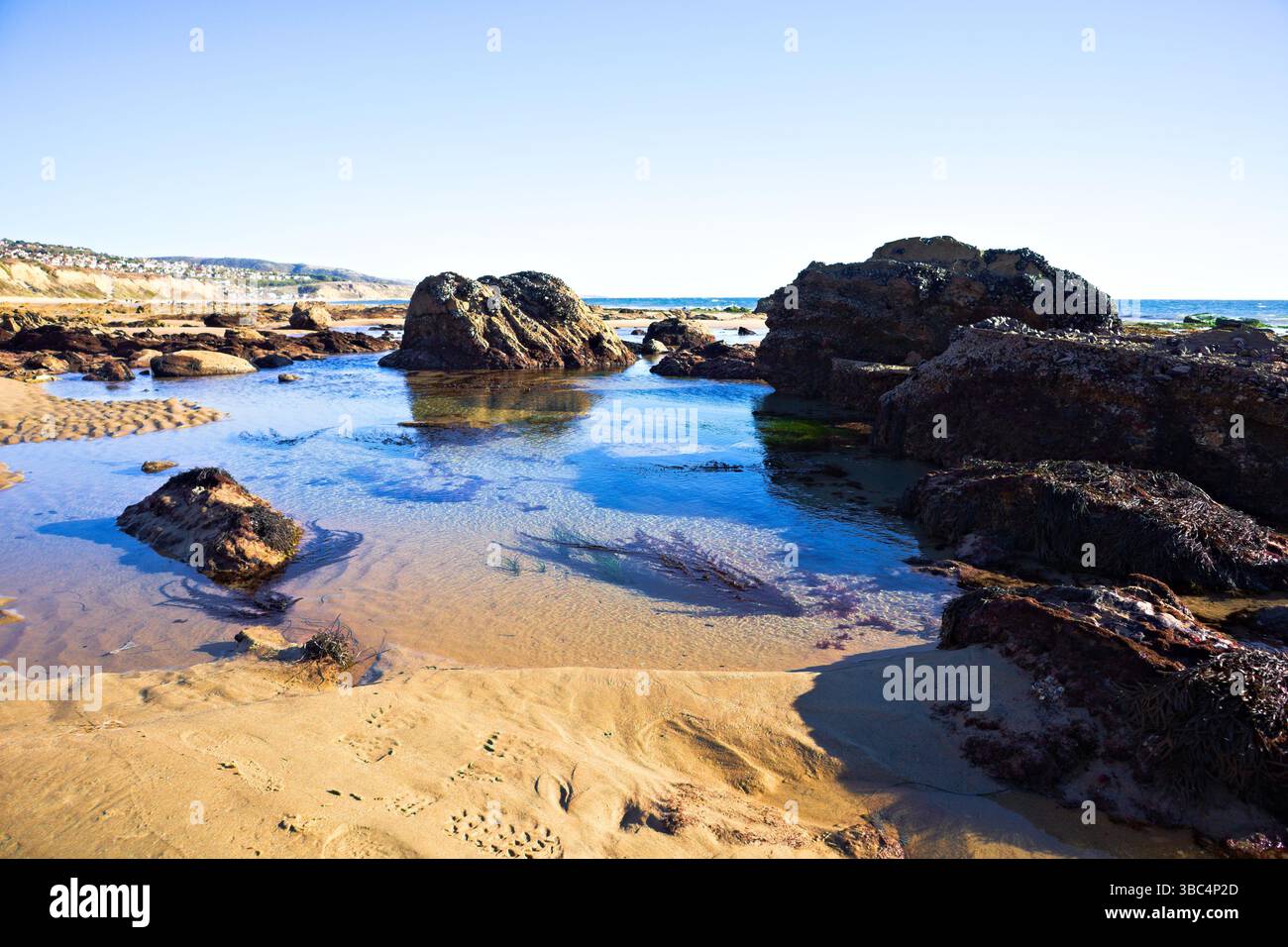 Tide pools at Crystal Cove Stock Photo - Alamy