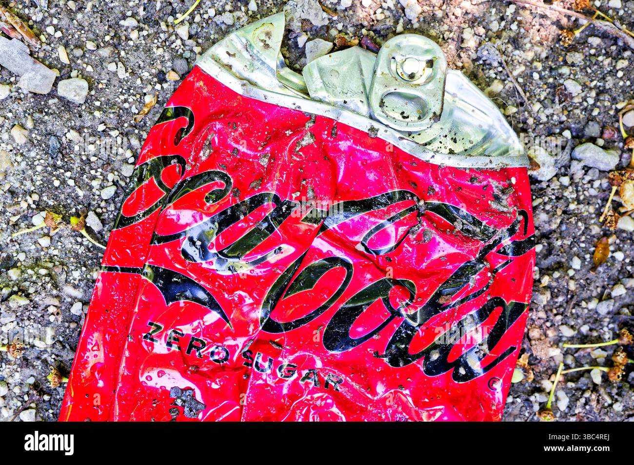 Müll. Die leere flachgetretene Coca-Cola Dose liegt am Boden. Feldwies ...