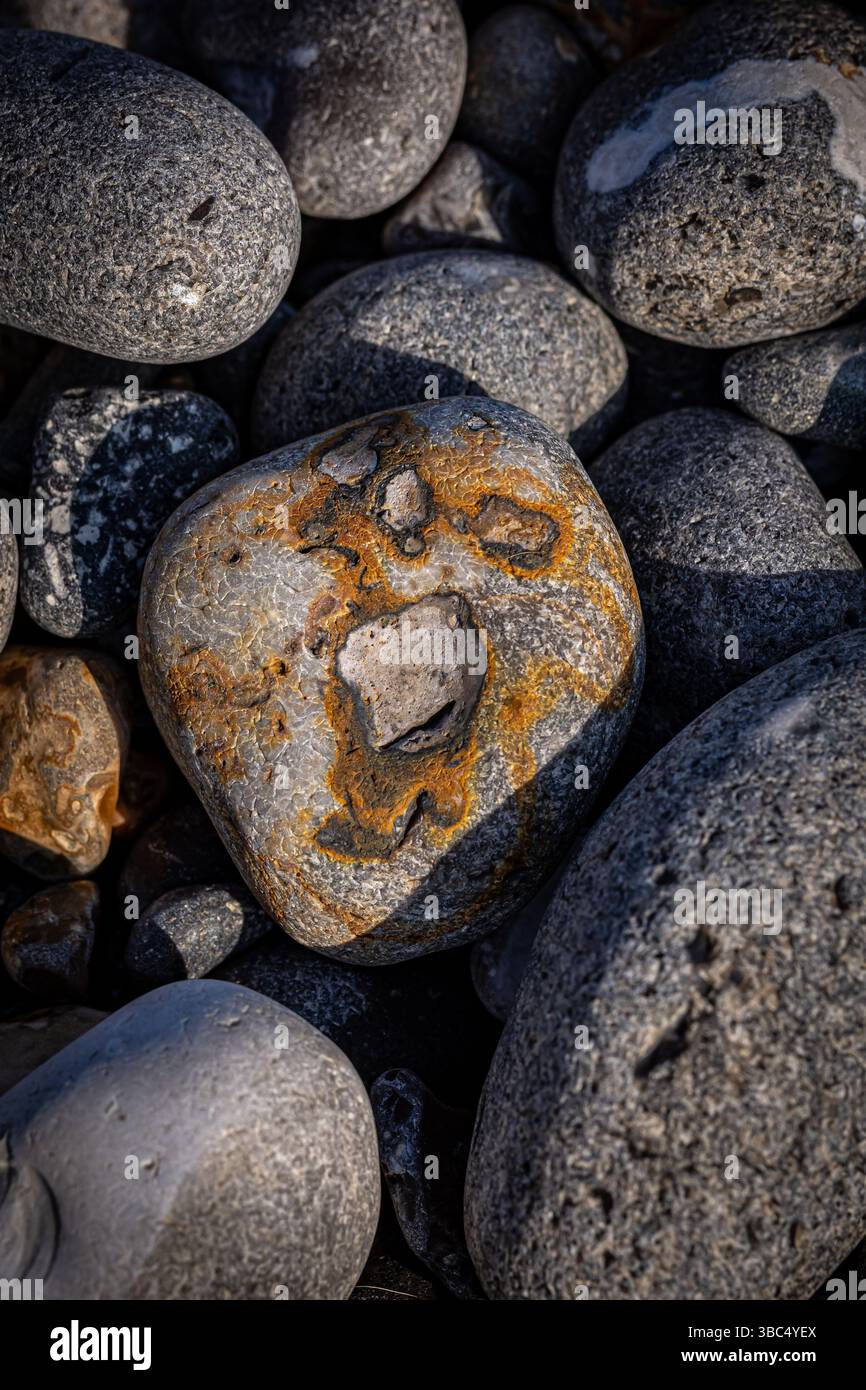 A pattern like a face on a rock, on the beach at Peacehaven in Sussex ...