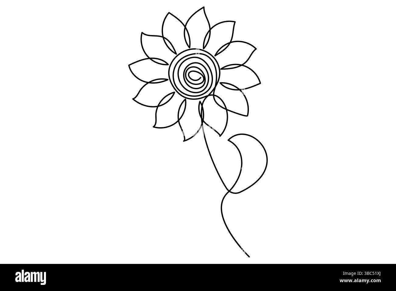 Sunflower drawing hi-res stock photography and images - Alamy