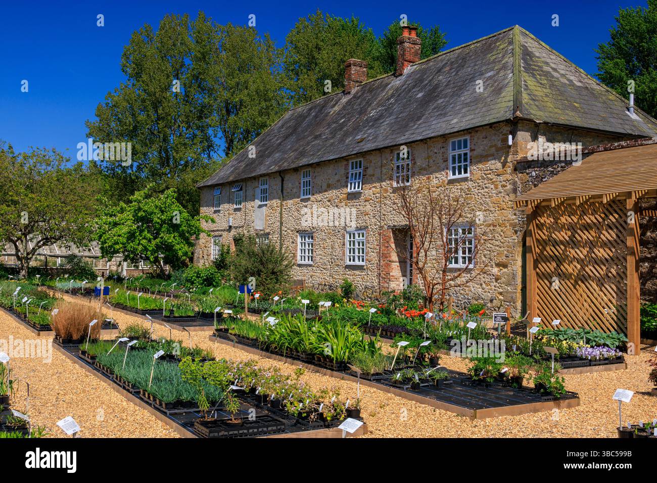 The well stocked and well laid out plant nursery at Forde Abbey, Dorset ...
