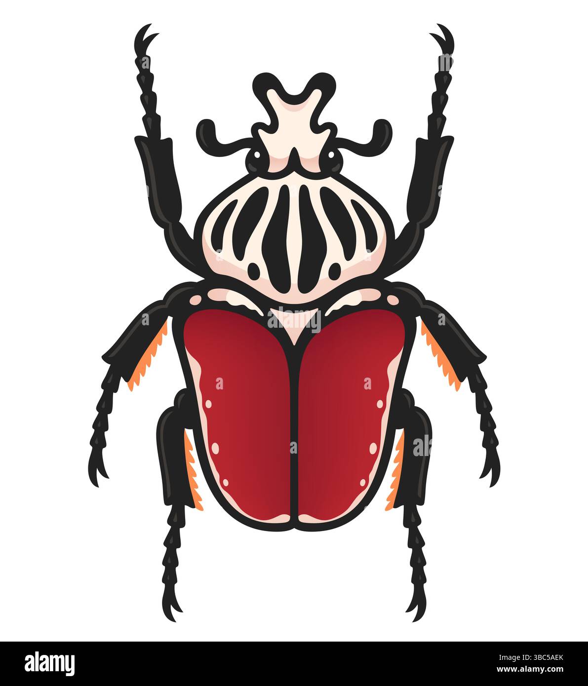 Goliath beetle Cut Out Stock Images & Pictures - Alamy