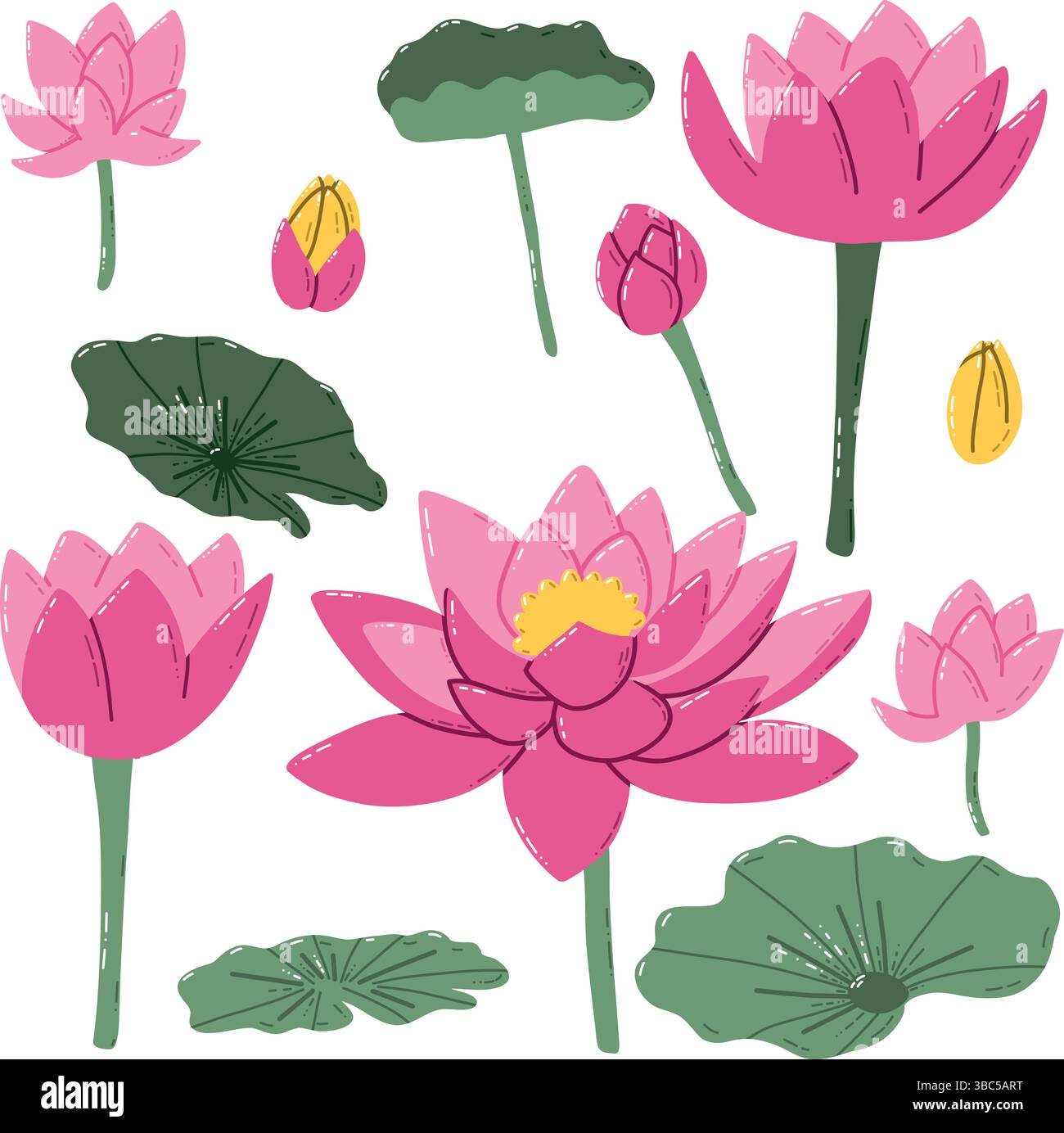 Colorful Botanical Illustration of Lotus Flowers, Seedpods, and Leaves ...