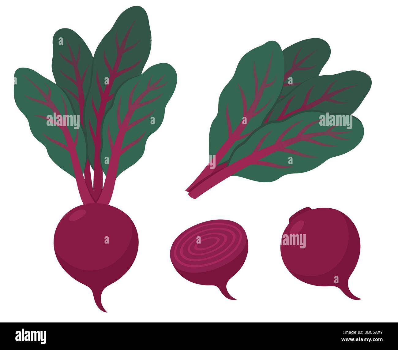 Beet set, beetroot and greens, whole and cut. Cartoon vector style ...
