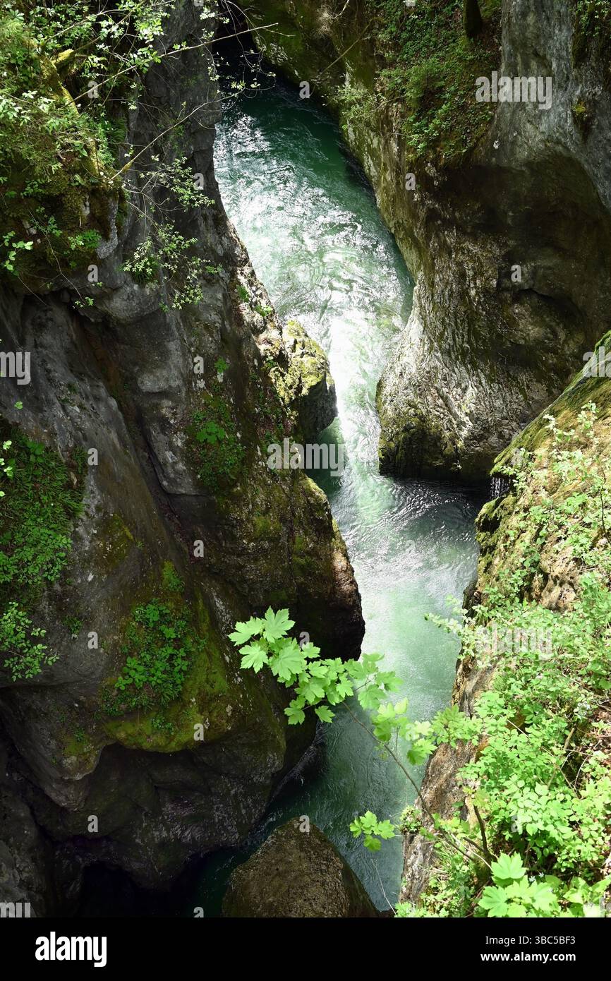Mostnica Gorge, Voje Valley, near Stara Fužina and lake Bohinj, Triglav ...