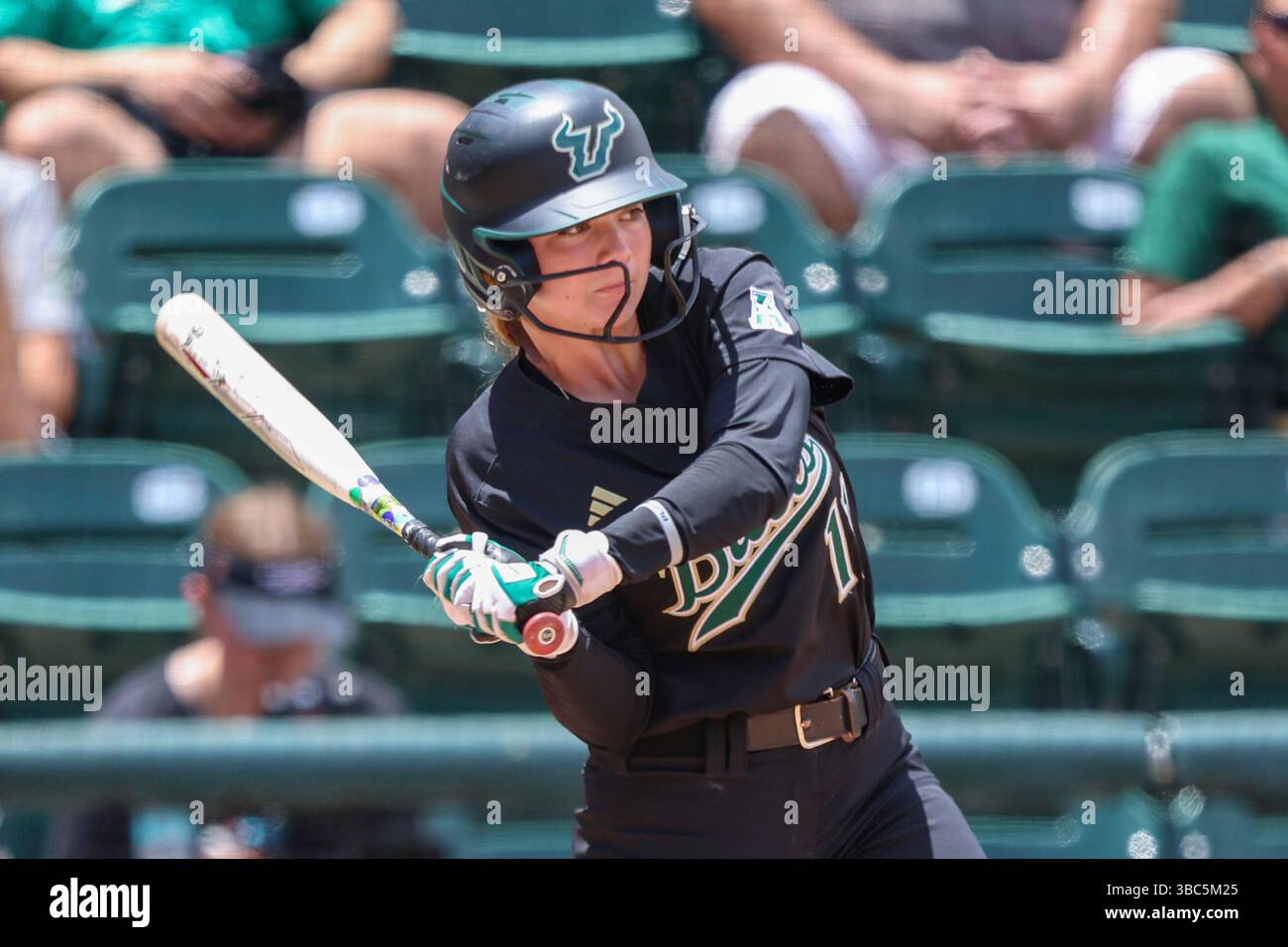 South Florida infielder Alex Wilkes (11) bats during an NCAA regional ...